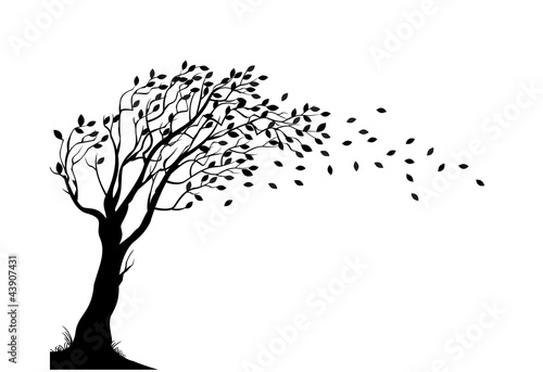 Autumn tree silhouette Stock Vector | Adobe Stock