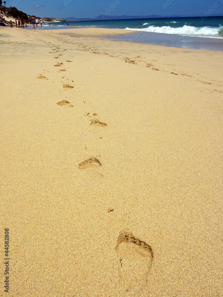 Foto de Stock Pisadas en la arena de la playa | Adobe Stock
