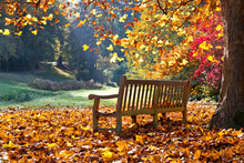 Autumn Seat Background Free Stock Photo - Public Domain Pictures