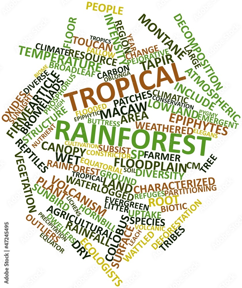 Word cloud for Tropical rainforest Stock Illustration | Adobe Stock