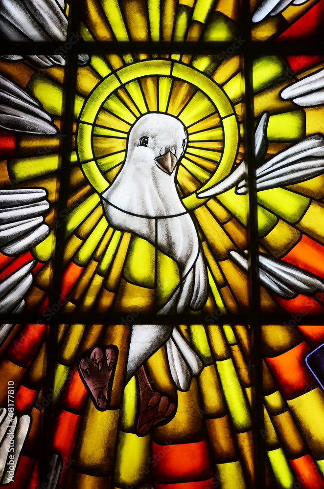 Holy Spirit Dove Symbol Stock Photo | Adobe Stock