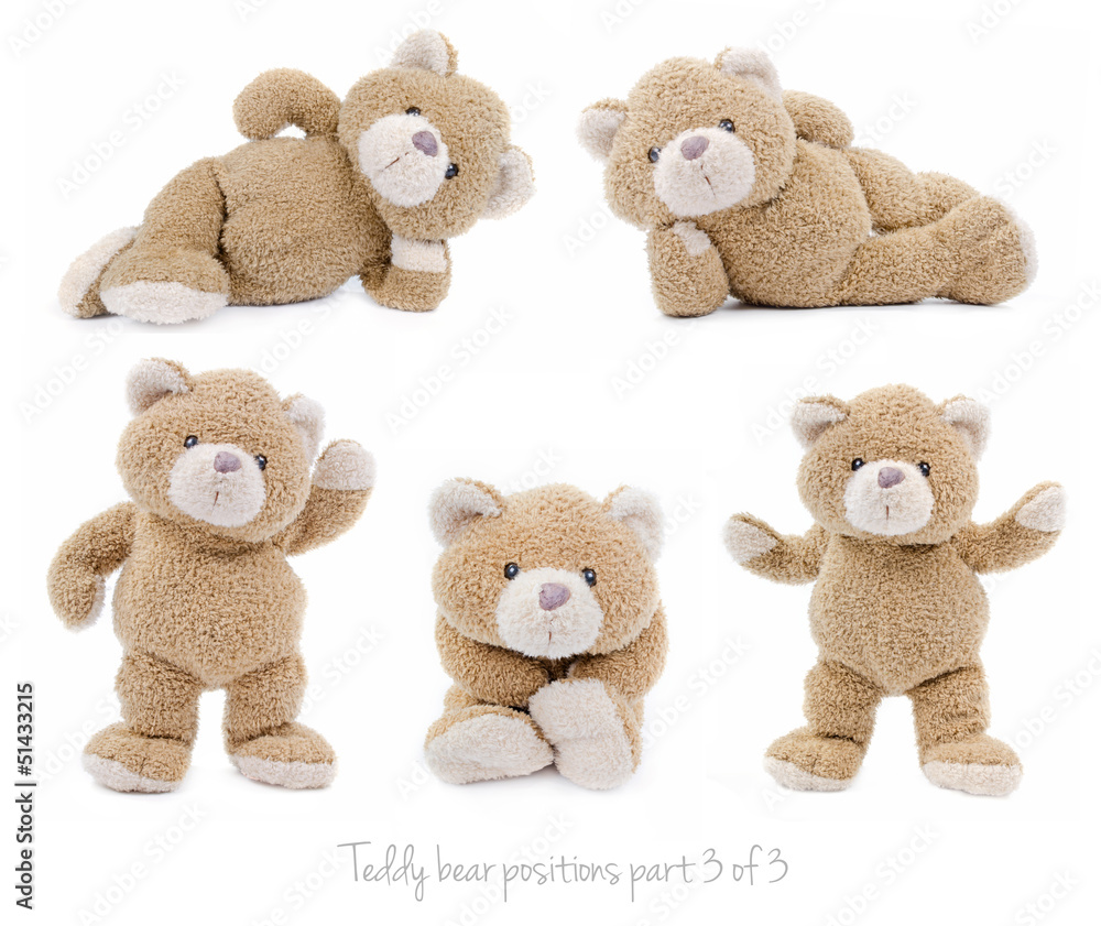 Teddy bear positions part 3 of 3 Stock Photo | Adobe Stock