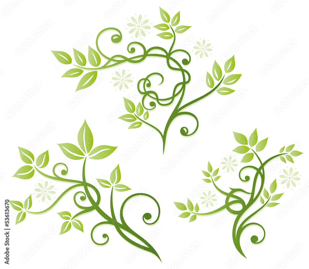 Blätter, Laub, Ranken, Vector Set Green - Stock - GamesAgeddon