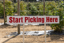 Berry Picking Signs Free Stock Photo - Public Domain Pictures