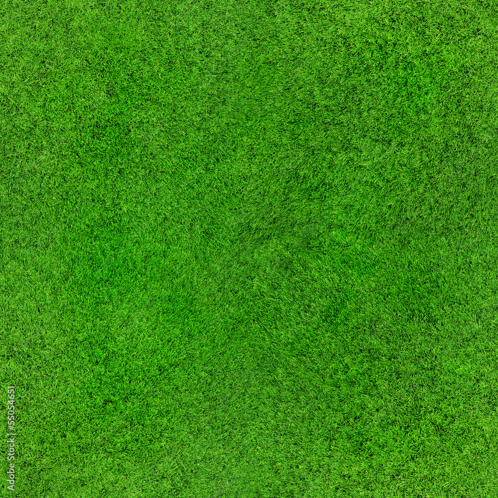 seamless grass texture Stock Photo | Adobe Stock