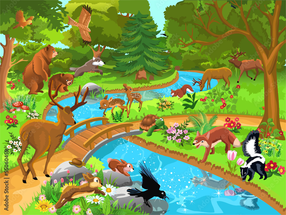 Wild Animals In Forest