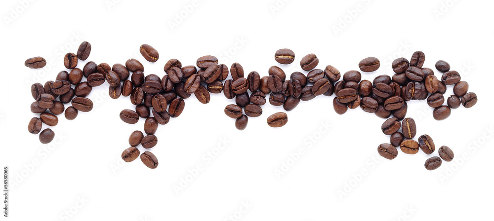 border bean