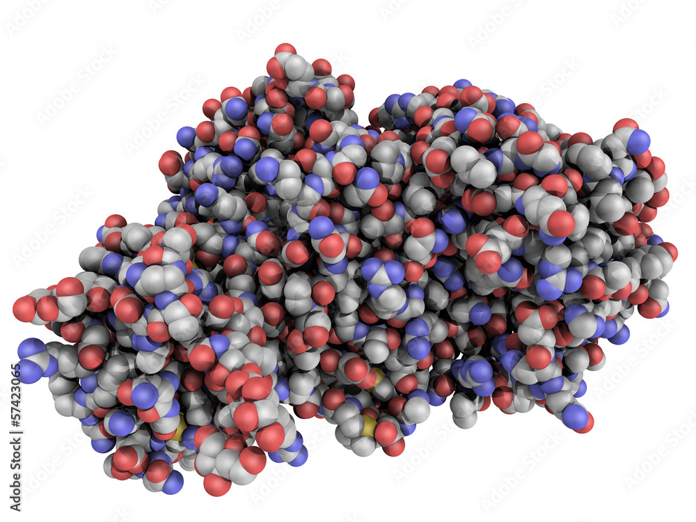 Chemical structure of ricin Stock Illustration | Adobe Stock