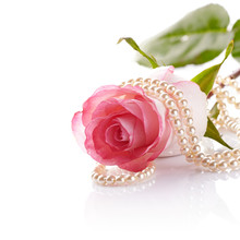 Rose And Pearl Free Stock Photo - Public Domain Pictures