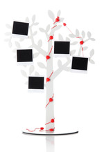 Family Tree Photo Holder Free Stock Photo - Public Domain Pictures