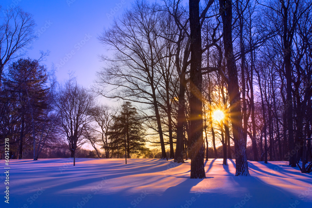 Sunset through trees on snowy landscape Stock Photo | Adobe Stock