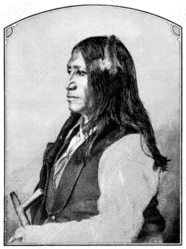 Spotted Tail, chief of the Sioux - Buy this stock photo and explore ...