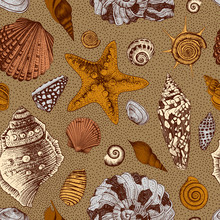 Retro Seashell Pattern Background Free Stock Photo - Public Domain Pictures