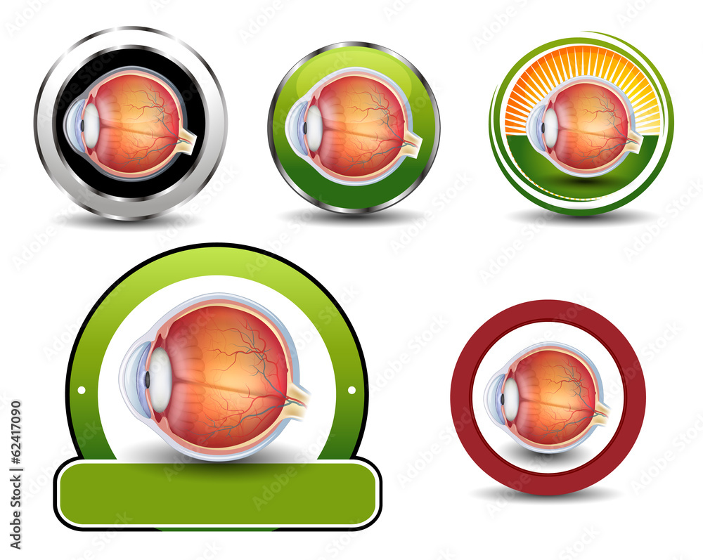 Ophthalmology symbols collection, Human eye cross section. Stock Vector ...