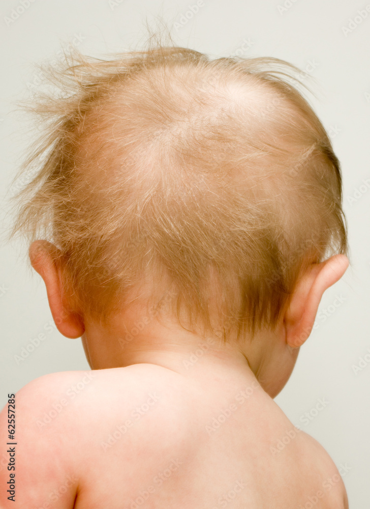 Shaggy back of infant's head Stock Photo | Adobe Stock