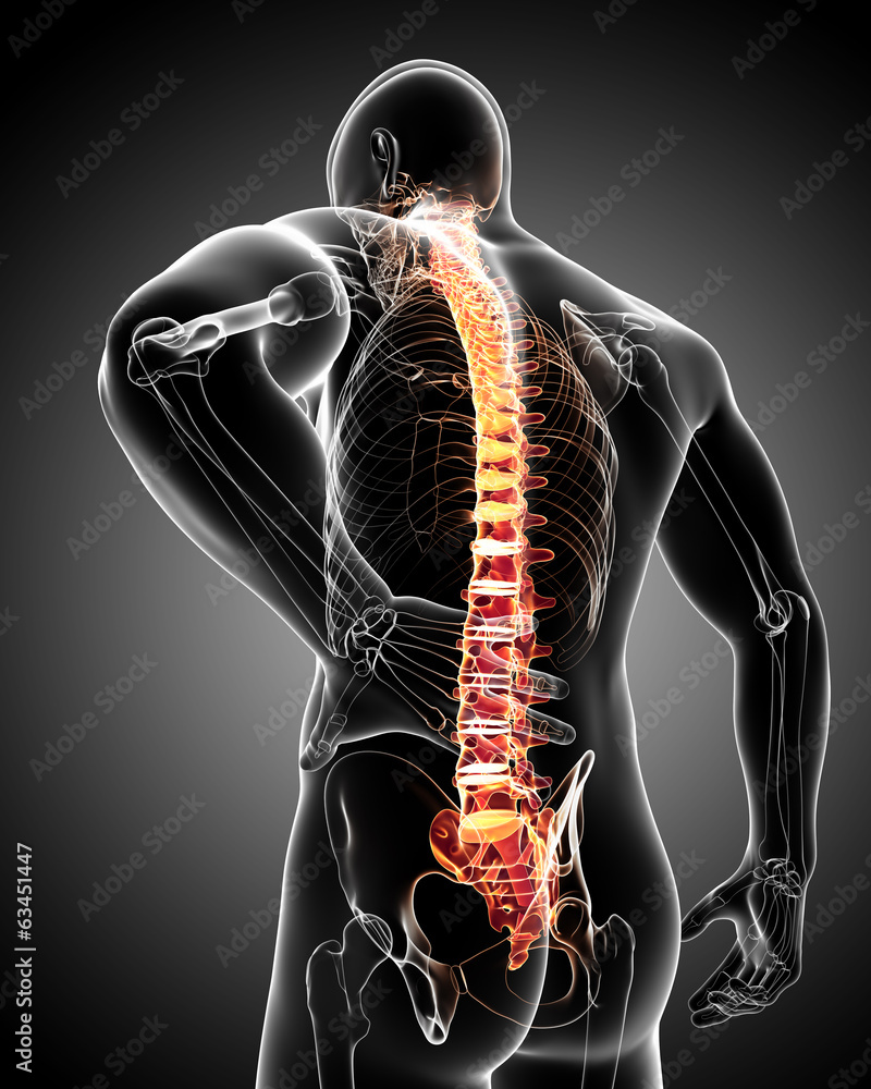 Anatomy of male back pain in black Stock Illustration | Adobe Stock