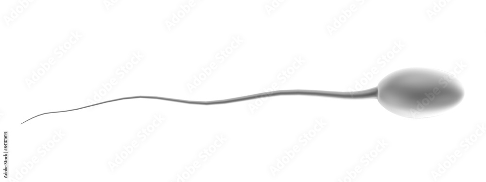 realistic 3d render of sperm Stock Illustration | Adobe Stock