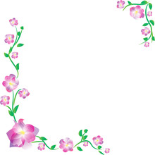 Rosy Frame 3 Free Stock Photo - Public Domain Pictures