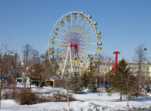 Russian Spinning Wheel Free Stock Photo - Public Domain Pictures