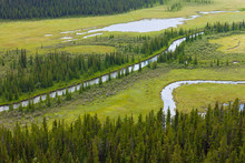 Wetland Stream Free Stock Photo - Public Domain Pictures
