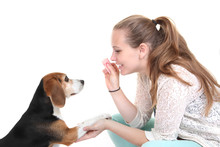 Dog Obedience Class Free Stock Photo - Public Domain Pictures