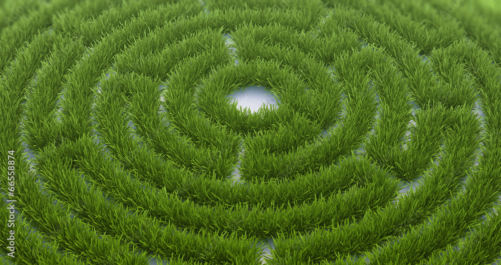 Labyrinth grass Stock Illustration | Adobe Stock