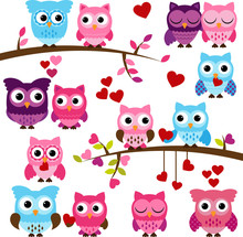 Valentine Day Owl Free Stock Photo - Public Domain Pictures