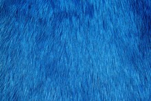 Fur Texture Background Blue Free Stock Photo - Public Domain Pictures