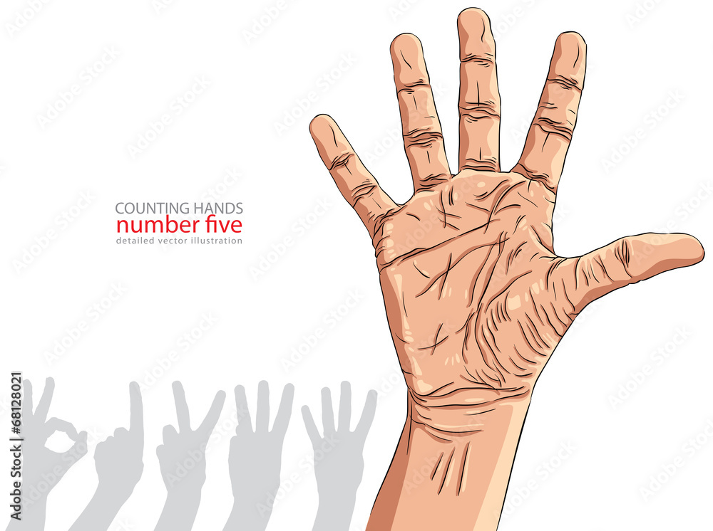 Numbers hand signs set, number five, detailed vector Stock Vector ...