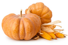Thanksgiving Pumpkin And Corn Free Stock Photo - Public Domain Pictures