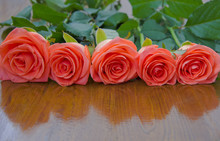 Five Pink Roses On Wood Free Stock Photo - Public Domain Pictures