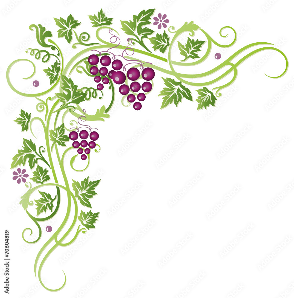 Vector de Stock Weinranke mit Weintrauben. Wein, Weinreben, Blätter ...