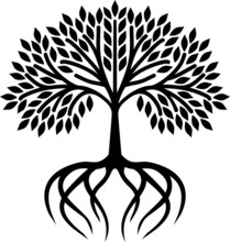 Herbal Tree Free Stock Photo - Public Domain Pictures