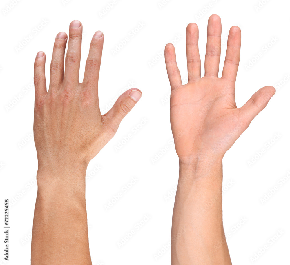 Men hand isolated on white Stock Photo | Adobe Stock