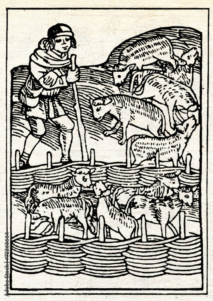 Medieval draving "Shepherd with sheep" Stock Photo | Adobe Stock