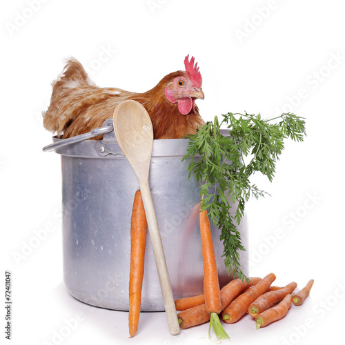 poule au pot humour Photo Stock | Adobe Stock