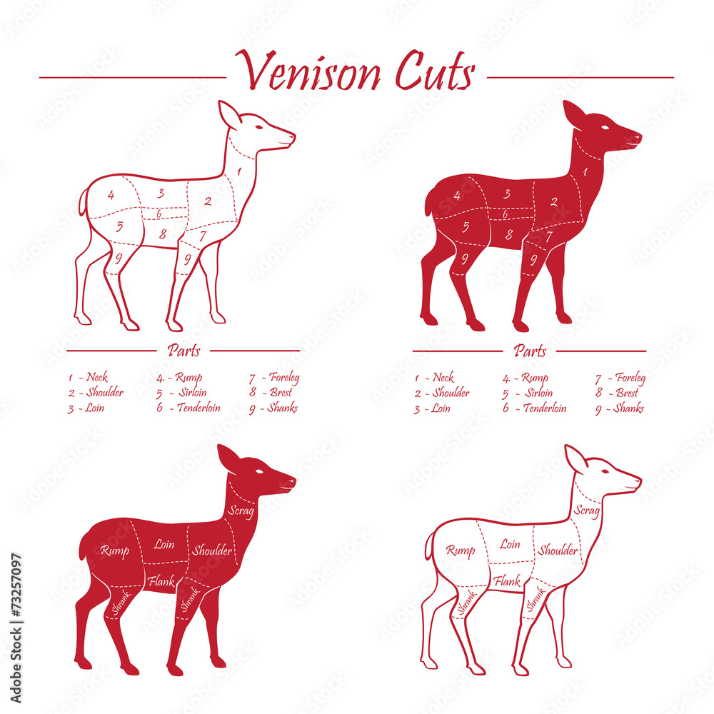 Venison meat cut diagram scheme - blackboard Stock Vector | Adobe Stock