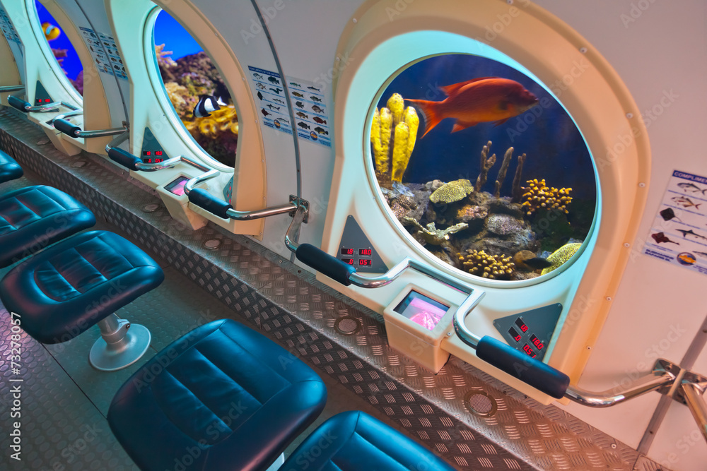 Fishes in submarine window Stock Photo | Adobe Stock
