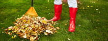 Little Girl Raking Leaves In Fall 2 Free Stock Photo - Public Domain ...