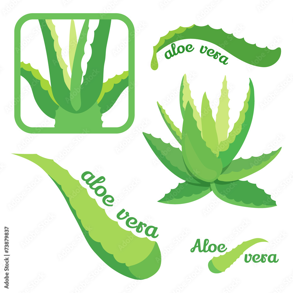 aloe vera vector set Stock Vector | Adobe Stock