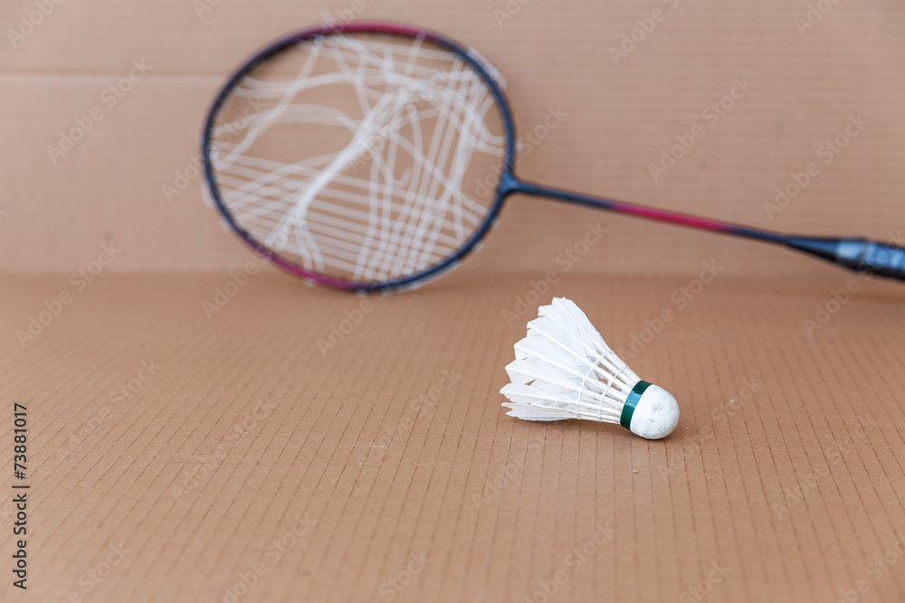 Shuttlecock and broken badminton racket Stock Photo | Adobe Stock