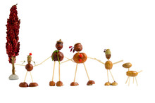 Chestnut Dolls Free Stock Photo - Public Domain Pictures