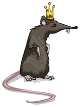 King Rat Free Stock Photo - Public Domain Pictures