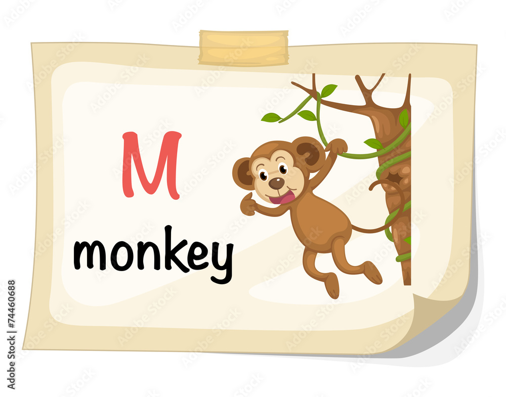 animal alphabet letter M for monkey illustration vector Stock Vector ...