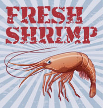 Live Shrimp Sign Free Stock Photo - Public Domain Pictures