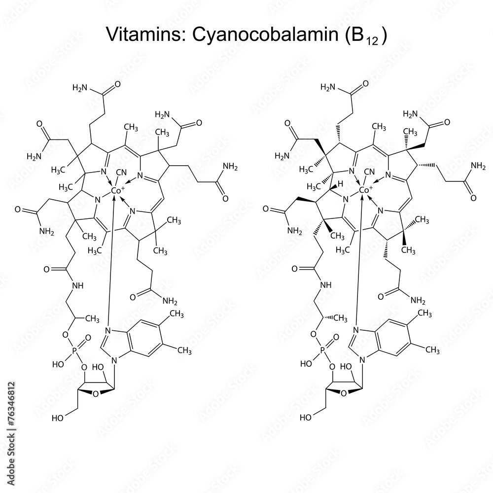Chemical formula of vitamin B12 - cyanocobalamin Stock Vector | Adobe Stock