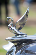 Model T Hood Ornament Free Stock Photo - Public Domain Pictures