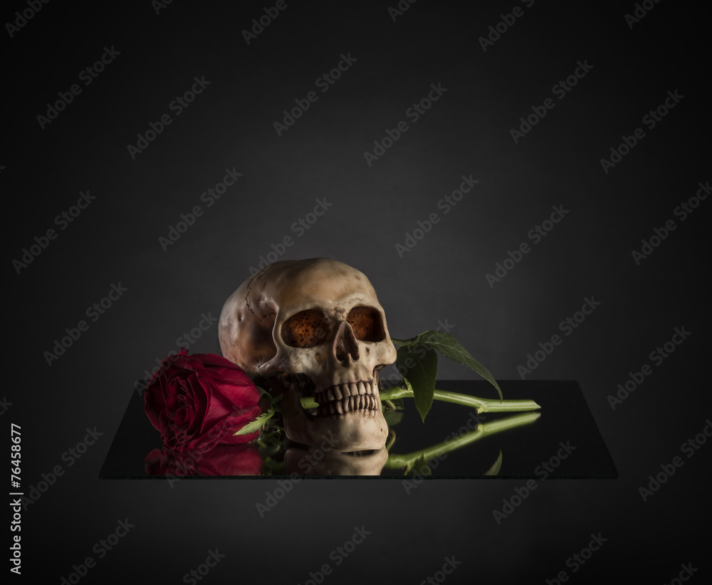 Foto de Stock Skull Biting a Red Rose Stem | Adobe Stock