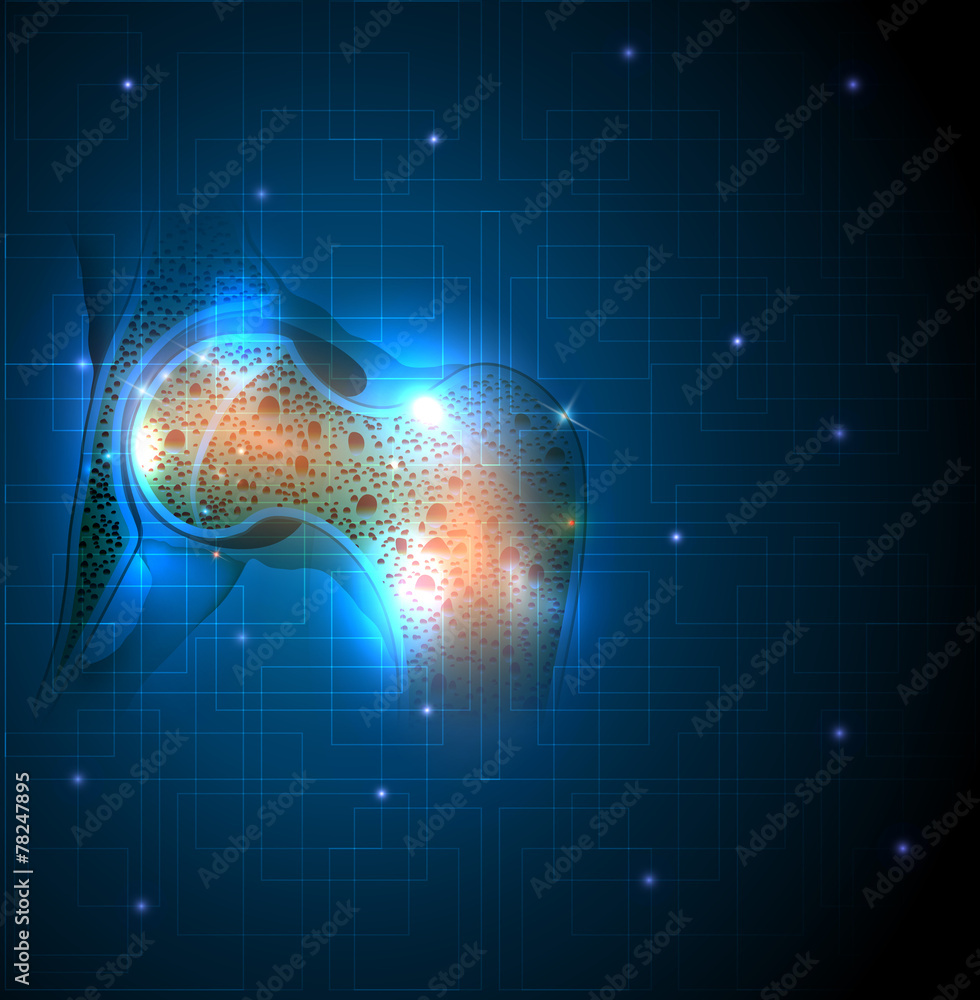 Hip joint anatomy background Stock Vector | Adobe Stock