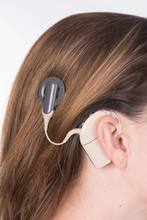Cochlear Implant Model Free Stock Photo - Public Domain Pictures